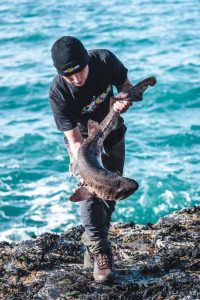 Dogfish & Bull Huss Fishing UK | The Game Changing Guide