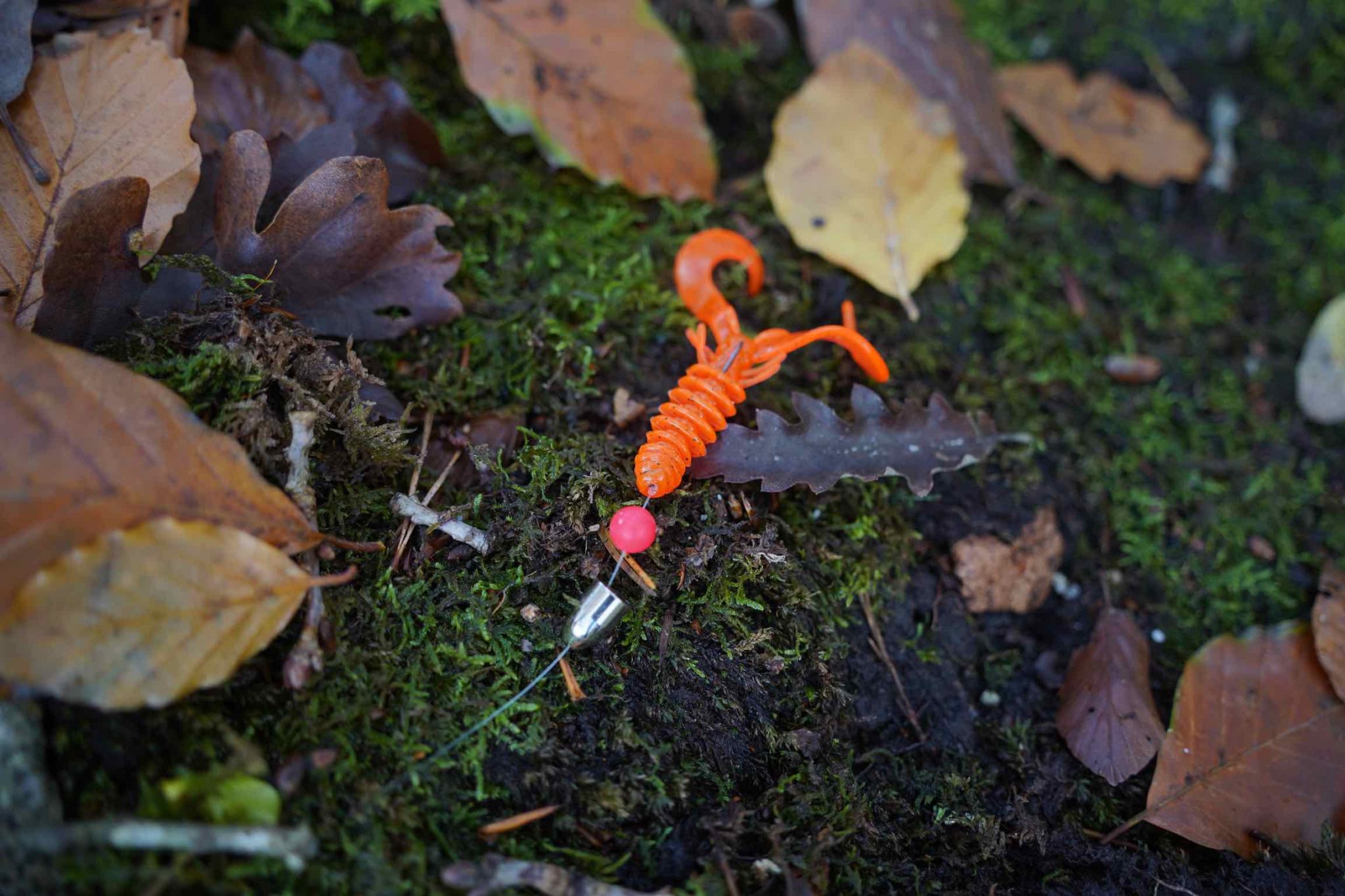 These are the best perch lures in the UK | + How to rig each
