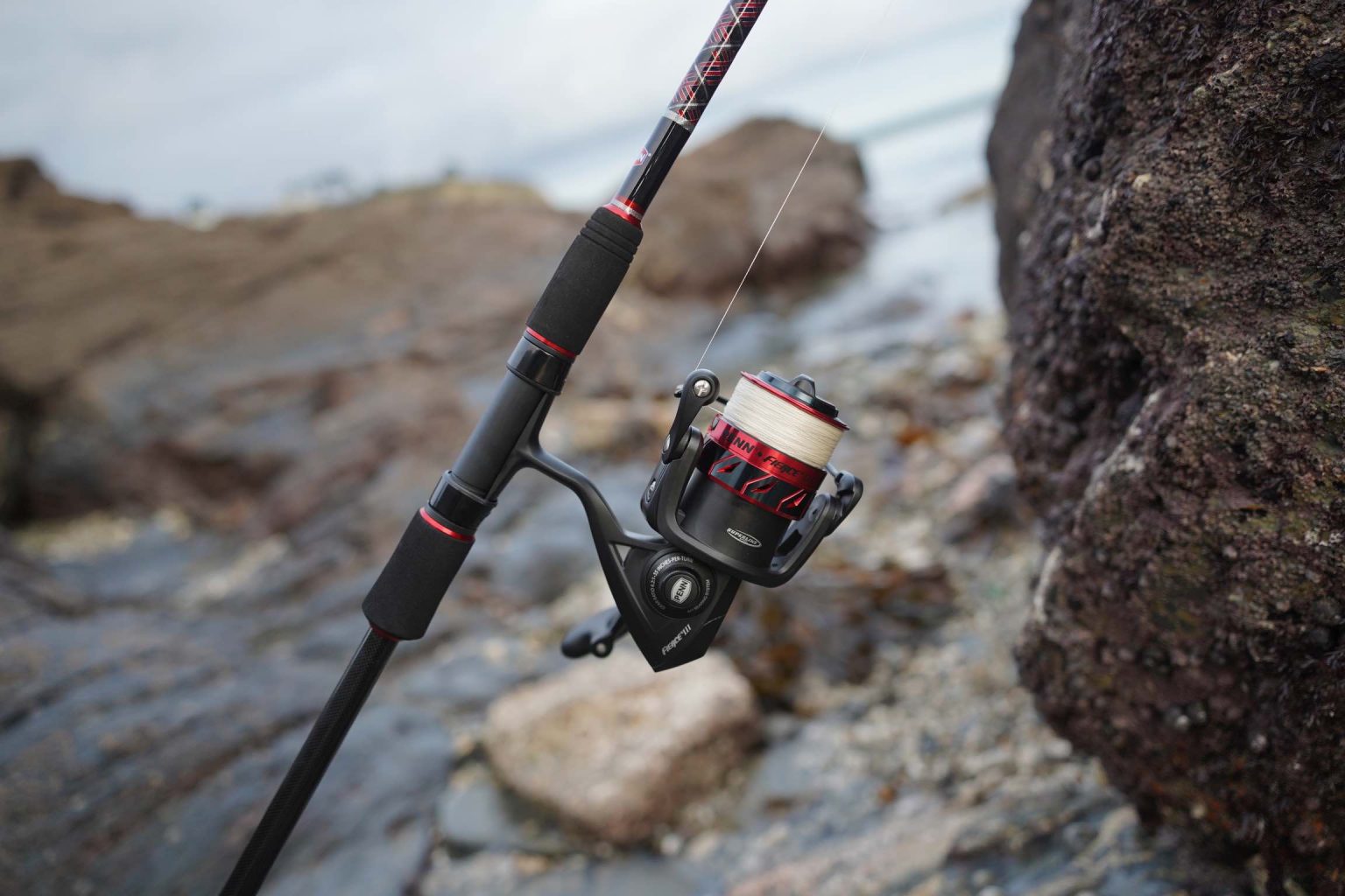 Mullet fishing UK | 13 Simple Tips | Lure & Float Fishing