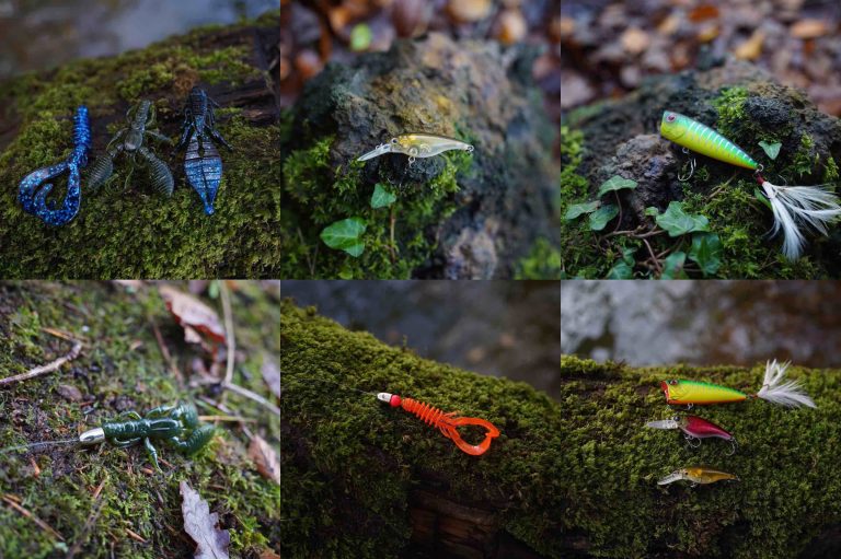 These are the best perch lures in the UK | + How to rig each