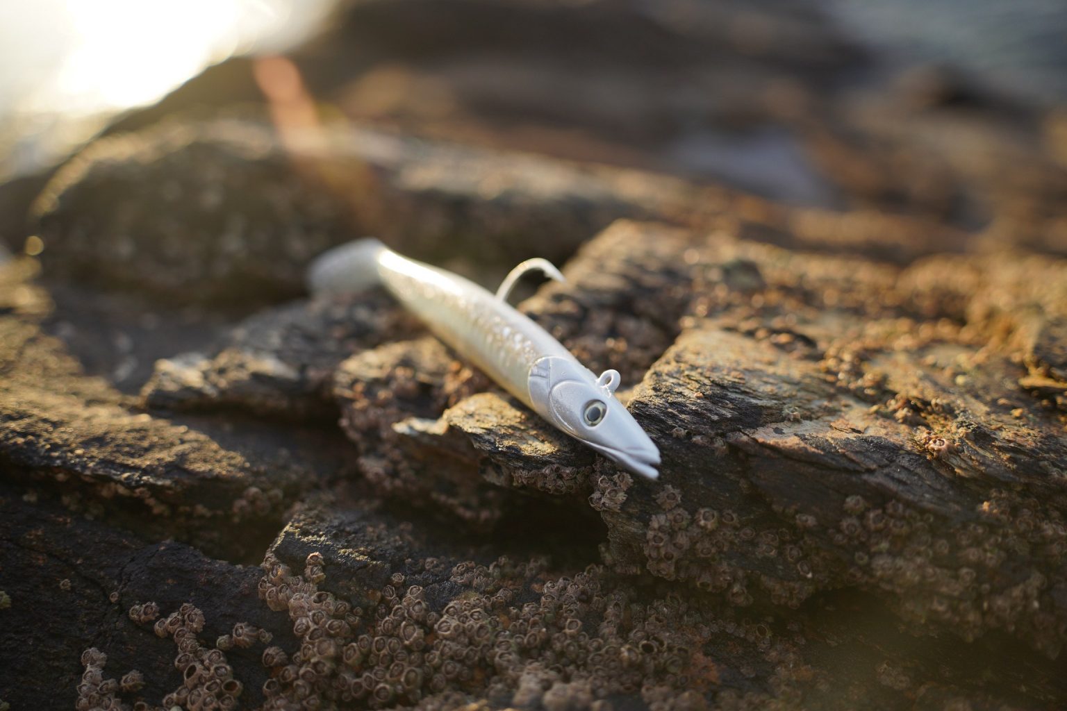 Lure Fishing for Bass UK | 3 Key Principles & 30 Tips