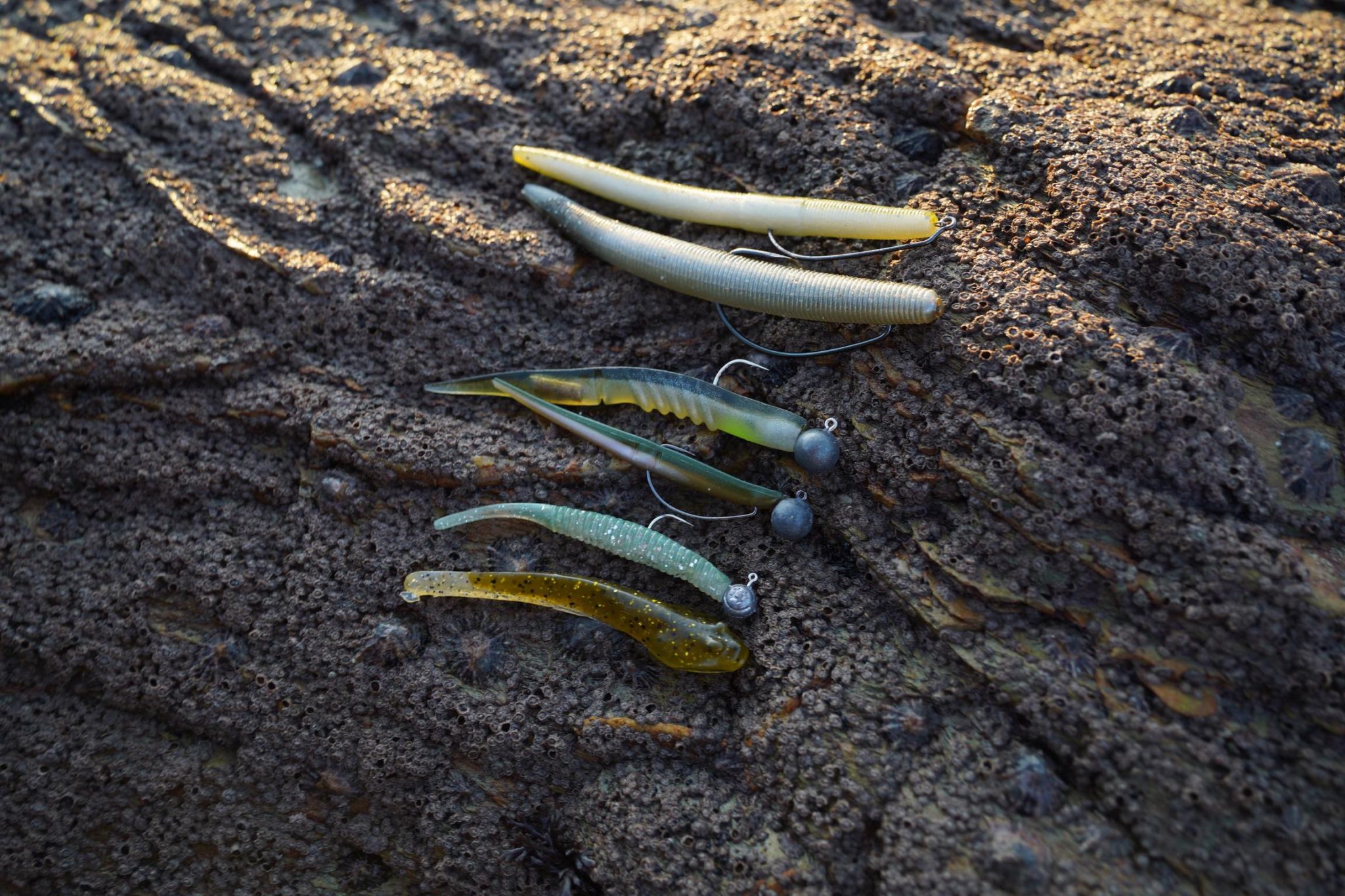 Lure Fishing for Bass UK | 3 Key Principles & 30 Tips