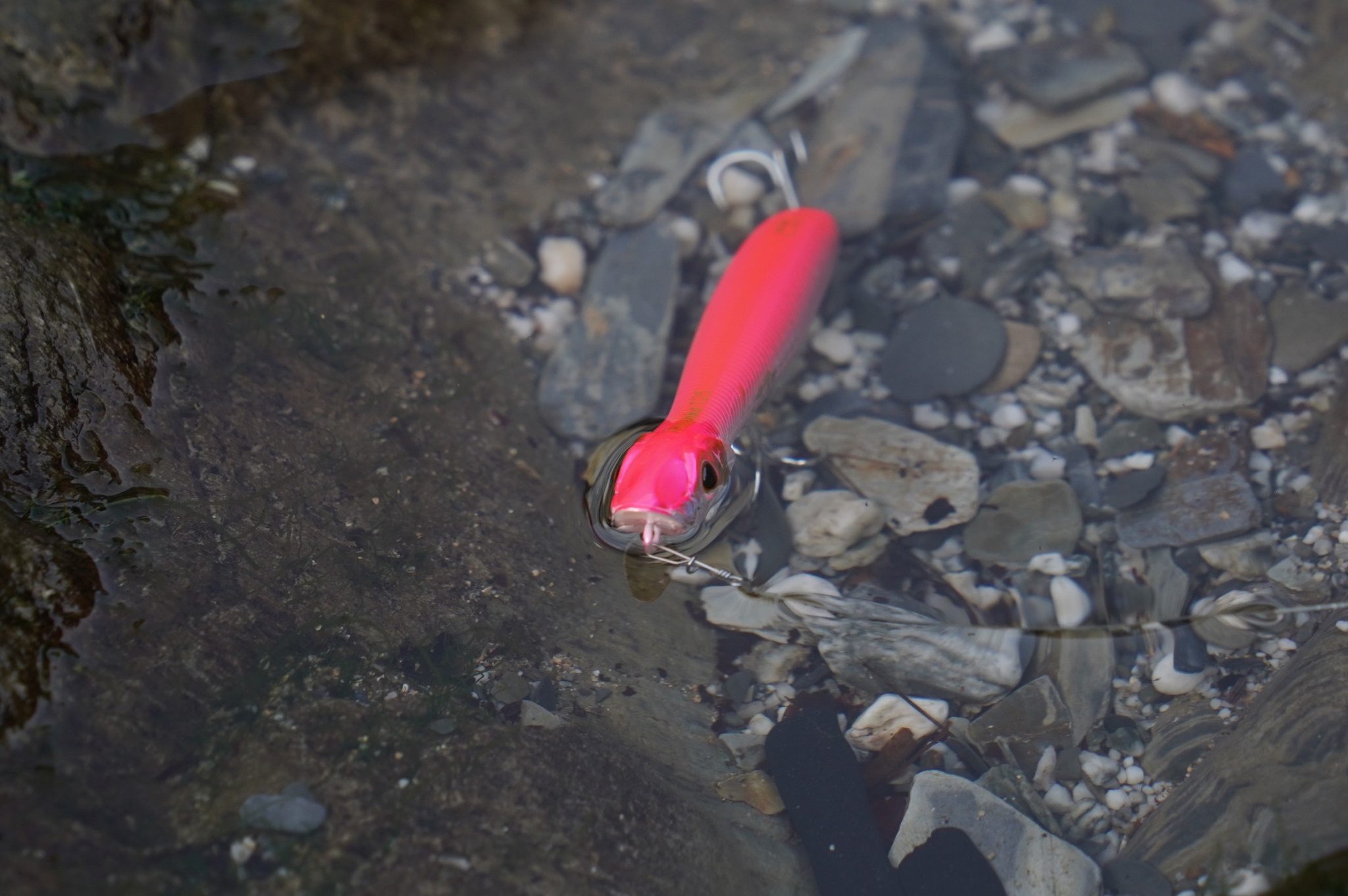 The Only 3 Bass Lures You Need | Best Bass Lures UK