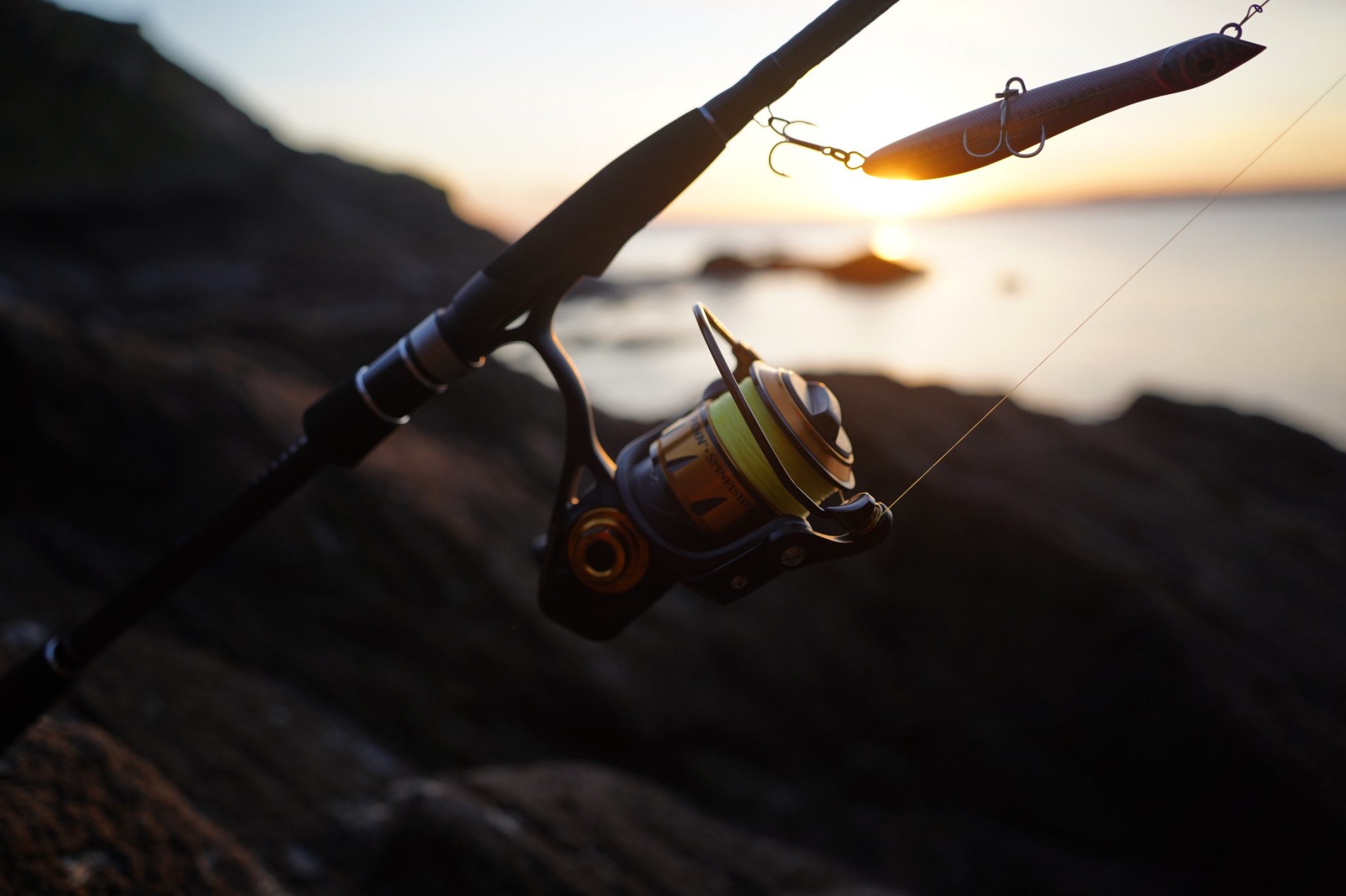 Sea Fishing in Dorset | The Locals Guide
