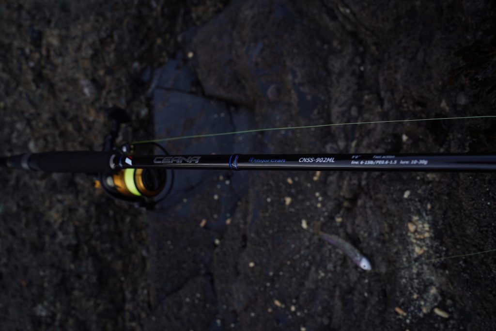 Sea Fishing Scotlands West Coast | Unmissable Marks