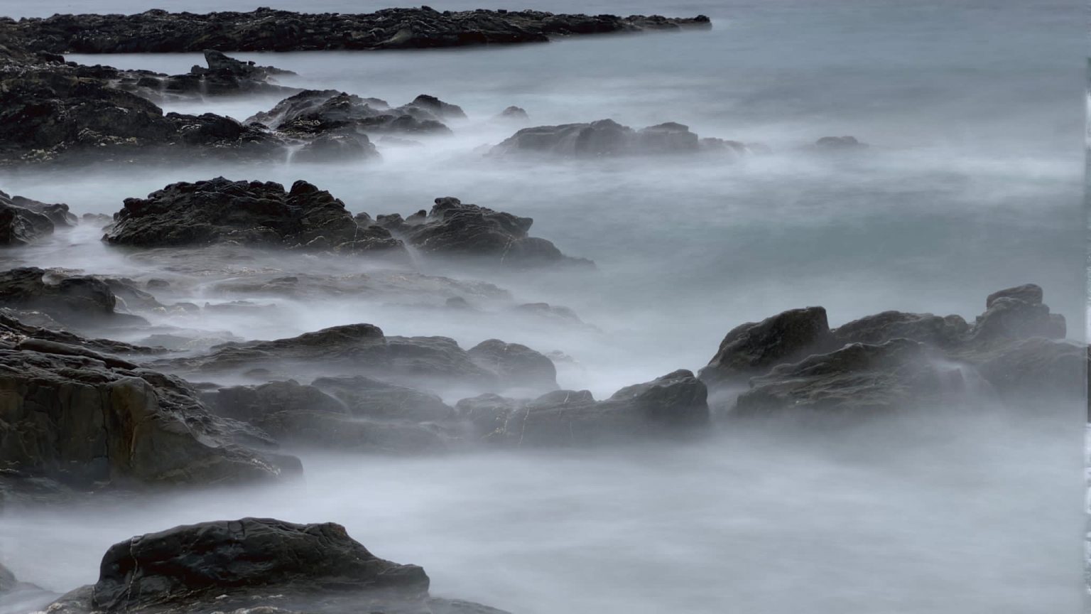 Sea Fishing East Scotland | Locals tips