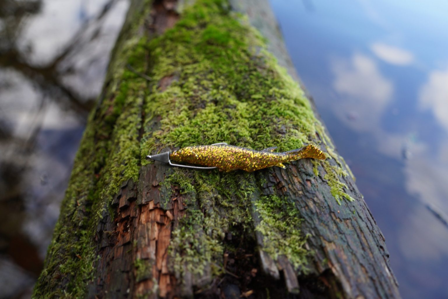 Lure Fishing Rigs & When to Use Each Type (UK Guide)