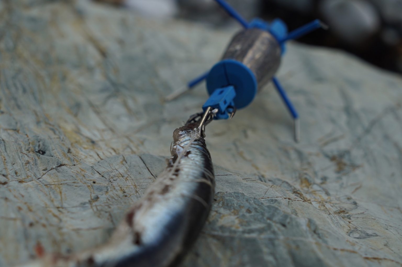 Sea Fishing Weights | The 7 Types Explained