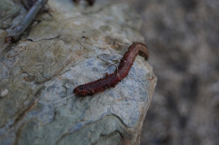Beach Casting Guide UK | Set Up & Tips - FISHMAG
