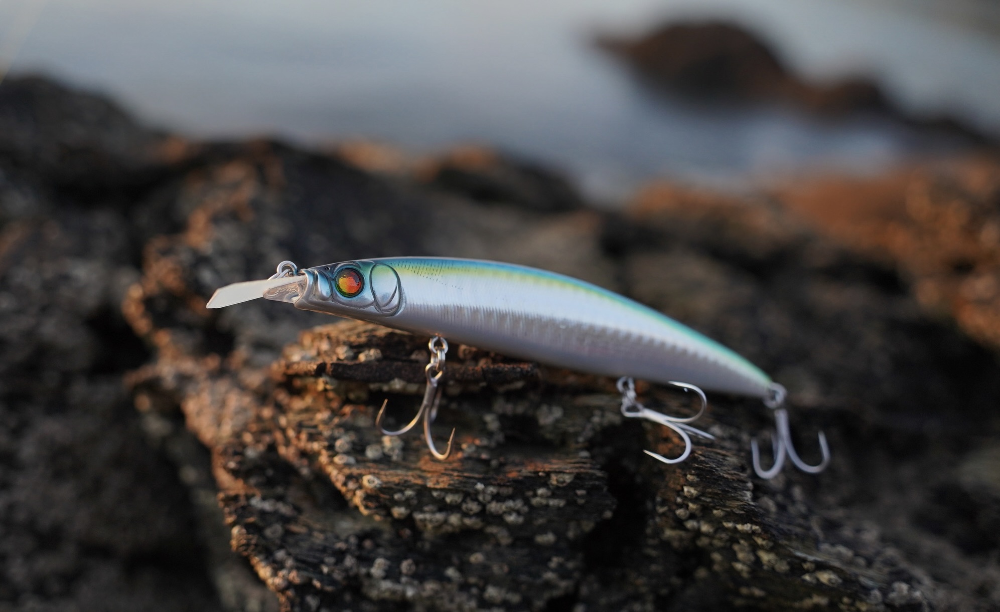 Beginners lure fishing set up | UK Gear