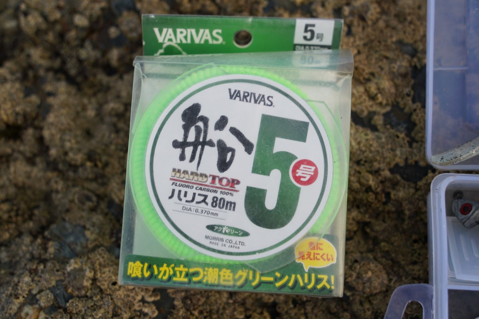 Lure Fishing UK | A beginners saltwater guide