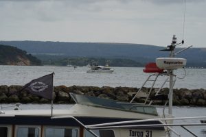 Sea Fishing Poole Harbour | FISH MAG