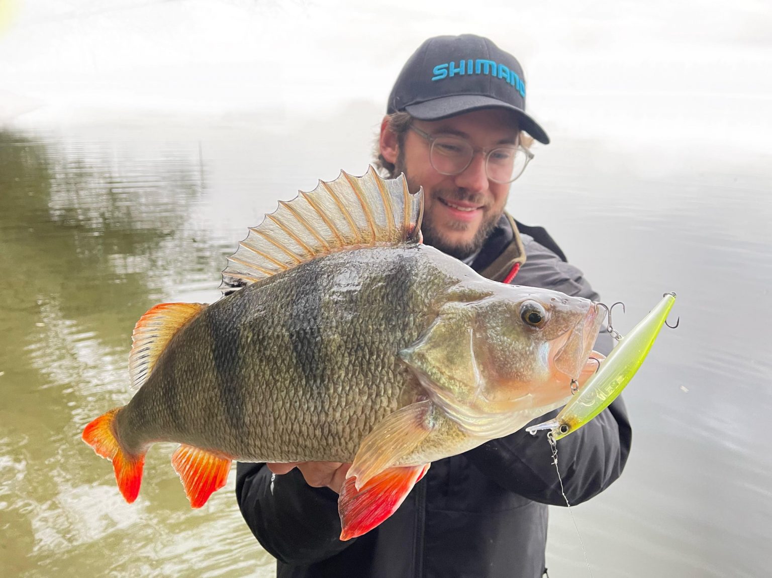 Lure fishing for perch UK | 24 Perch Fishing Tips