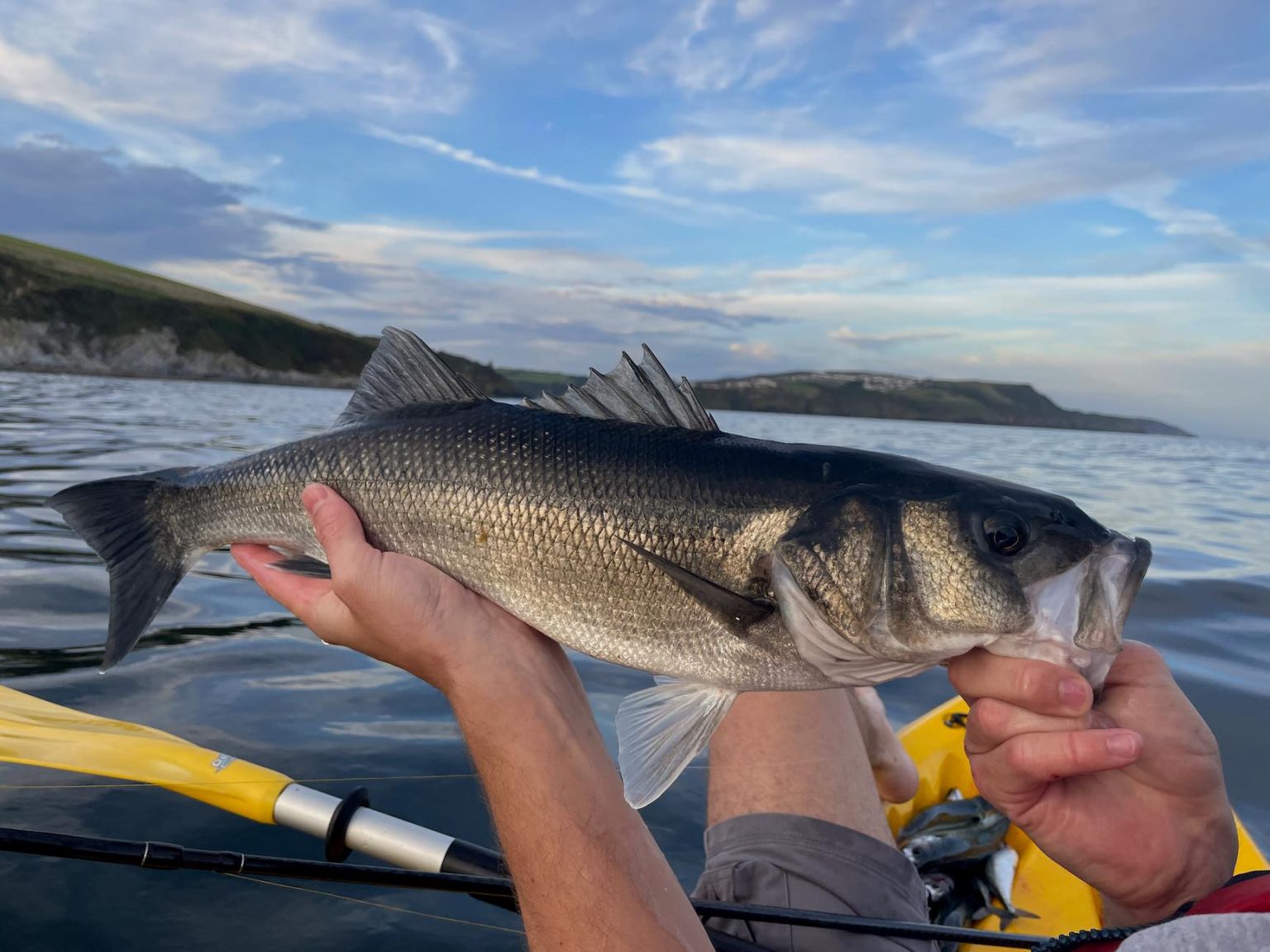 Lure Fishing for Bass UK | 3 Key Principles & 30 Tips