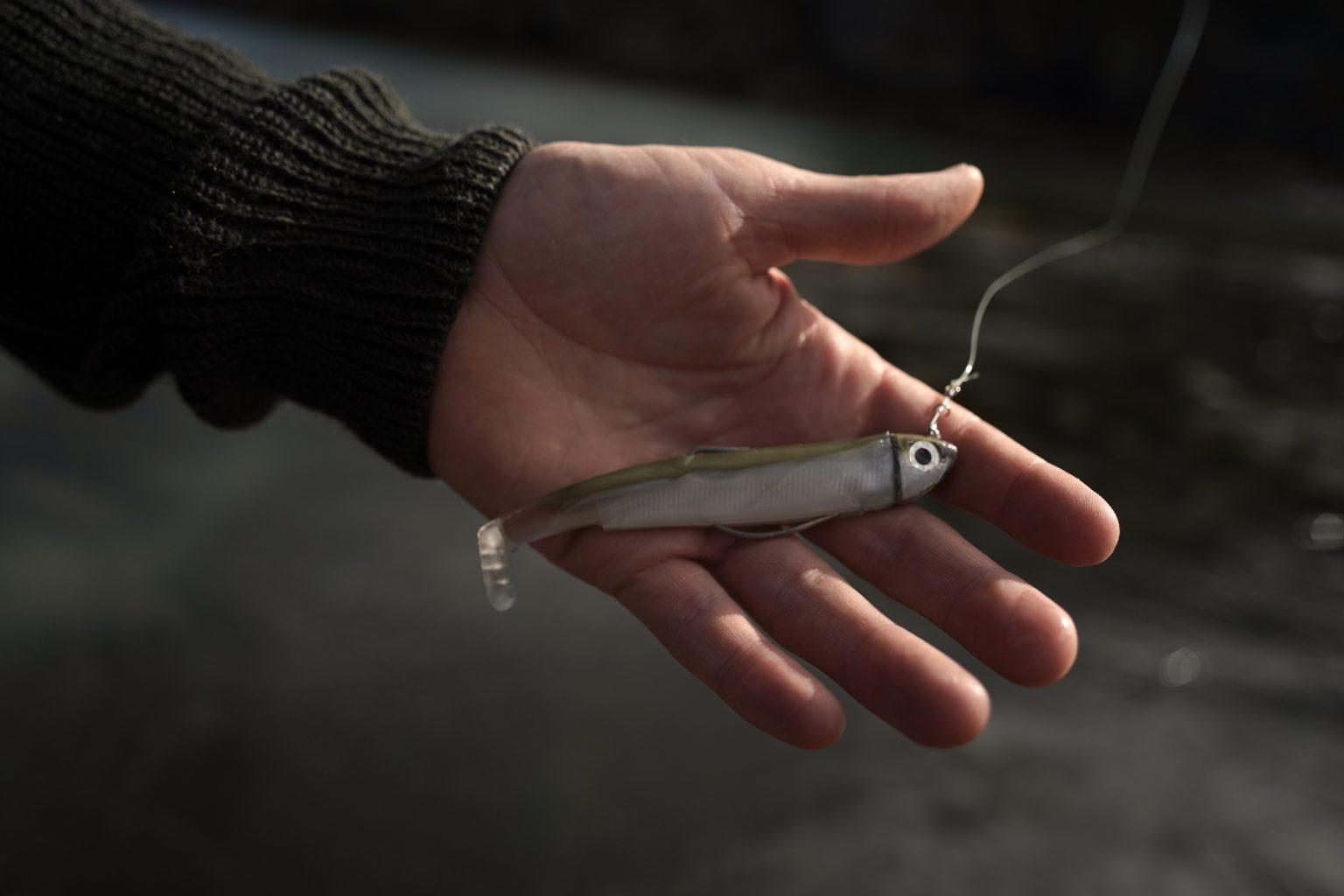 Fiish Black Minnow Review | FISH MAG