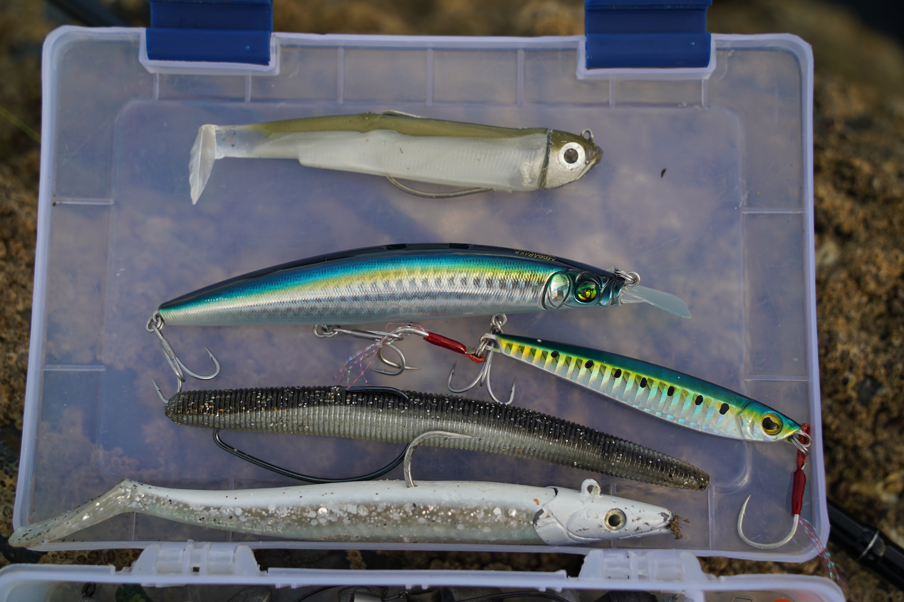 Fiish Black Minnow Review | FISH MAG