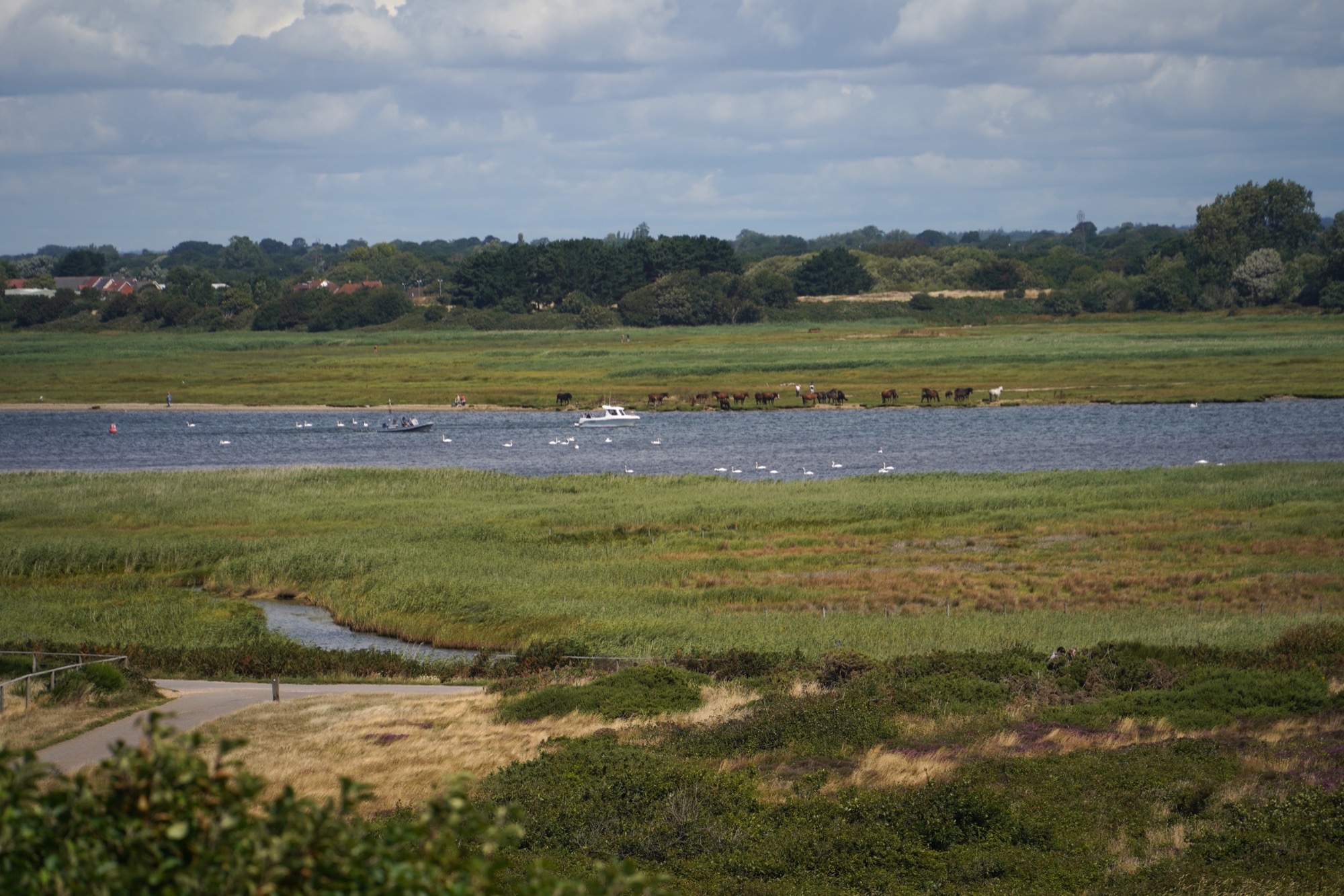 Sea Fishing in Dorset | The Locals Guide