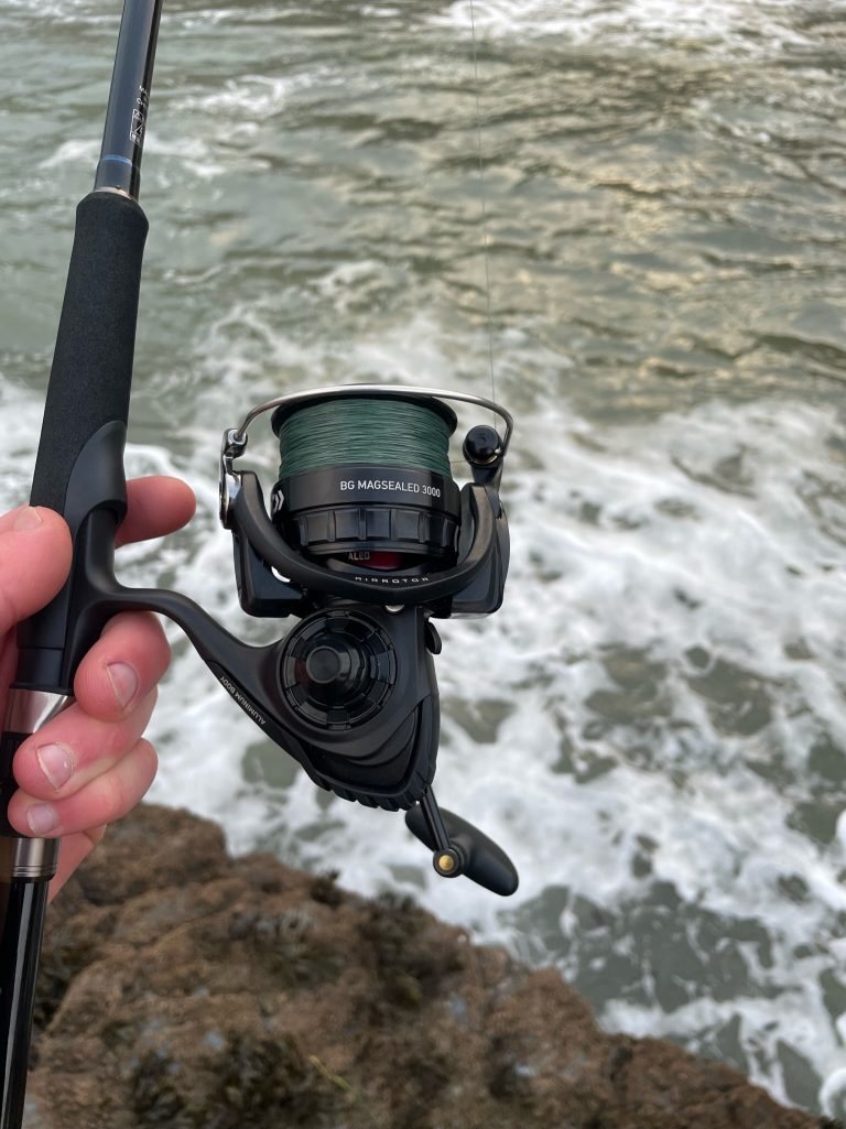 Daiwa BG Mag Sealed 4000 & 3000 Review | Is it worth the price?