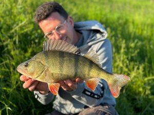 Lure fishing for perch UK | 24 Perch Fishing Tips