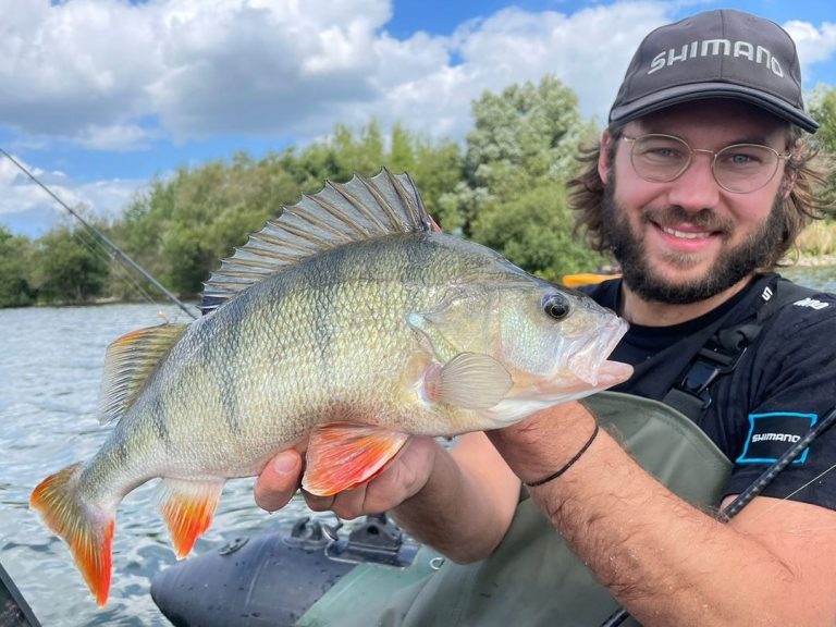 Lure fishing for perch UK | 24 Perch Fishing Tips