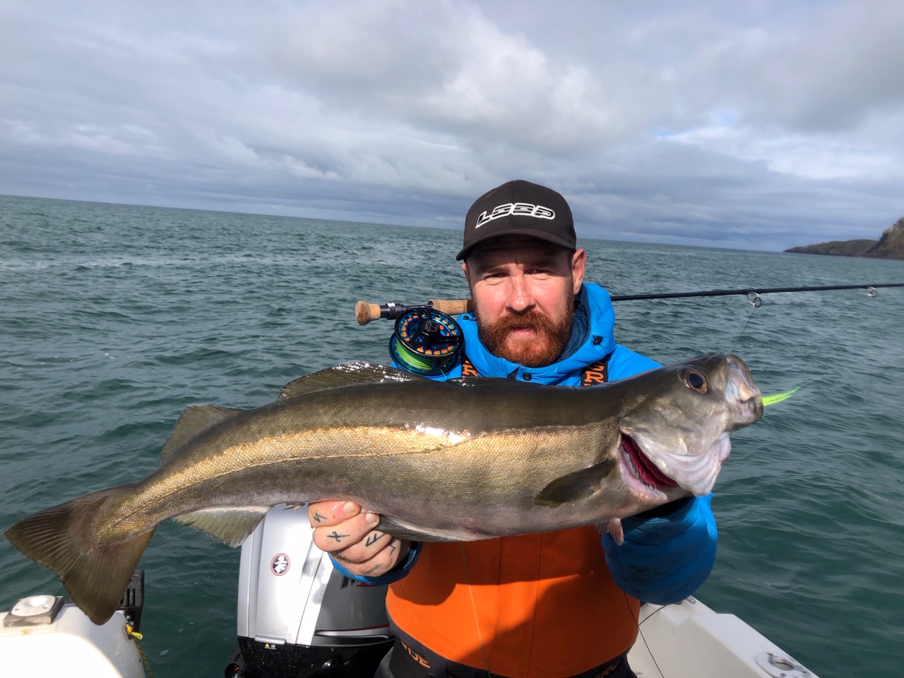 Saltwater fly fishing for pollack in Scotland