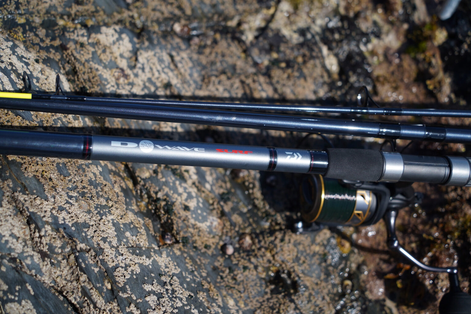 Sea Fishing Rods | Find the best | UK Independent Reviews