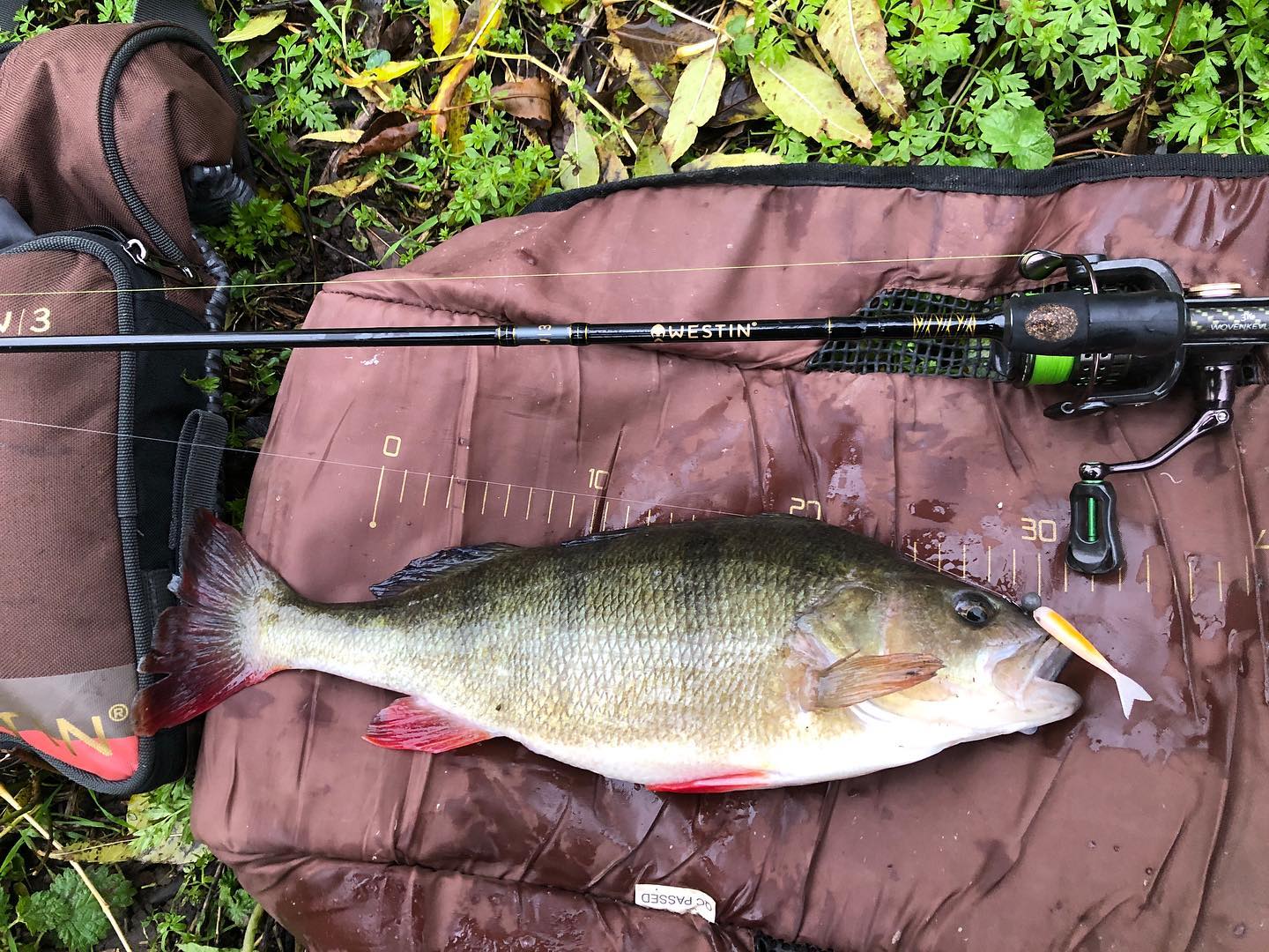 Best Perch Rods UK 2023 | Lure Rods that change everything