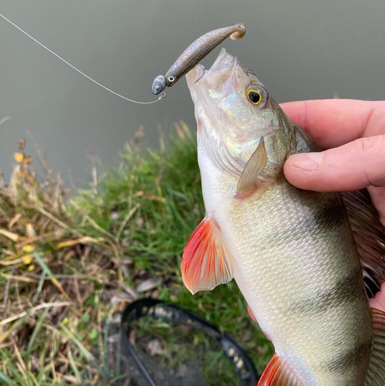 Best Perch Rods UK 2023 | Lure Rods that change everything