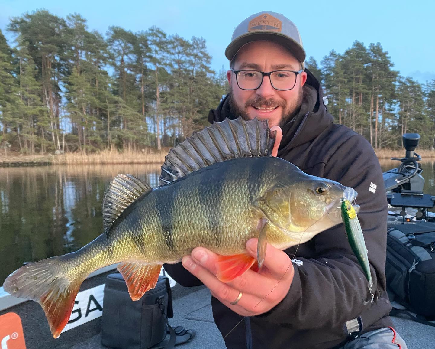 Best Perch Rods UK 2023 | Lure Rods that change everything